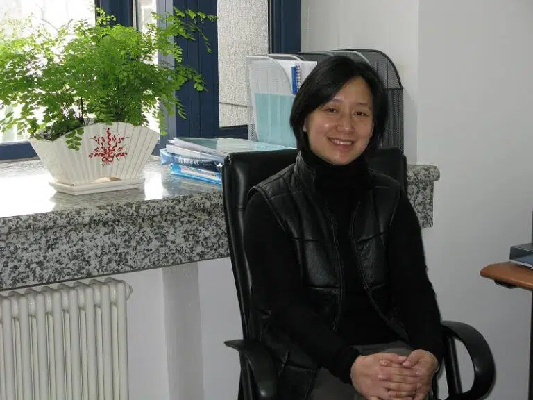 Chinese scientists unveil prototype hydrogen BESS – Batteries International