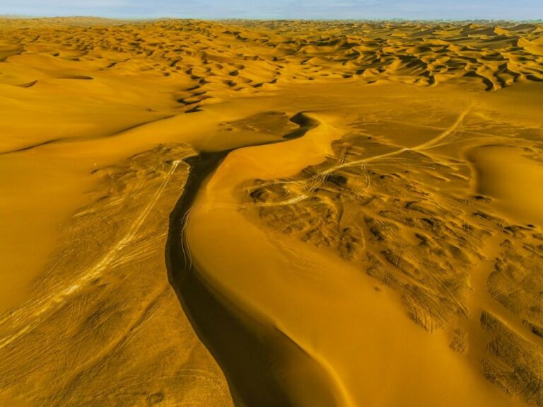 China ‘on course to control 39% of global lithium extraction ...
